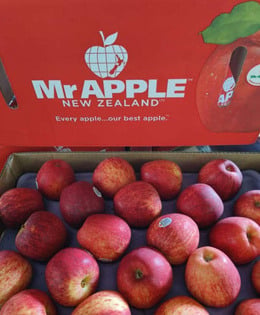 Member - Mr Apple